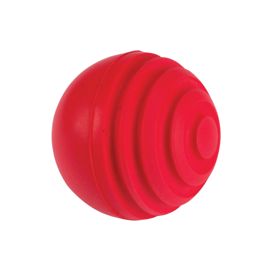 Gray-Nicolls Wobble Ball | Serious Cricket